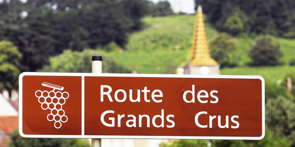 6 Bucket List Wine Regions to Visit in Your Lifetime — Wired For Wine